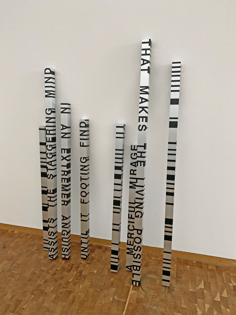 Roni Horn: Vielfältige Werke einer renommierten Künstlerin | Op Jück